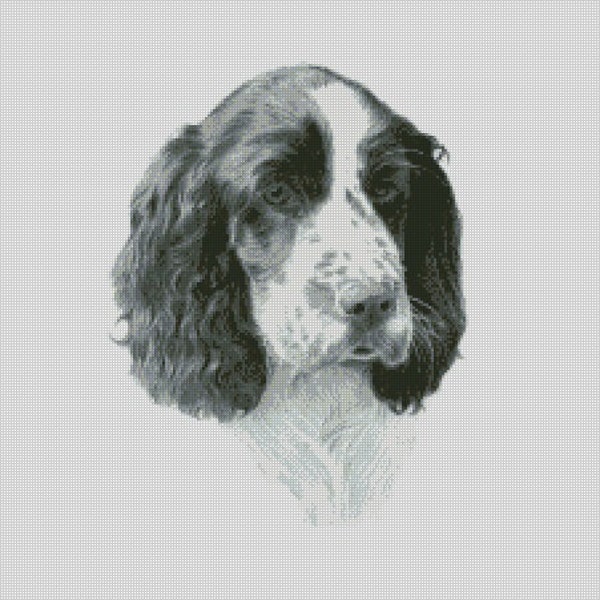 Spaniel Cross Stitch - Etsy