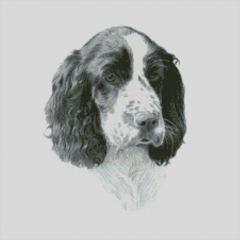 Spaniel Cross Stitch - Etsy