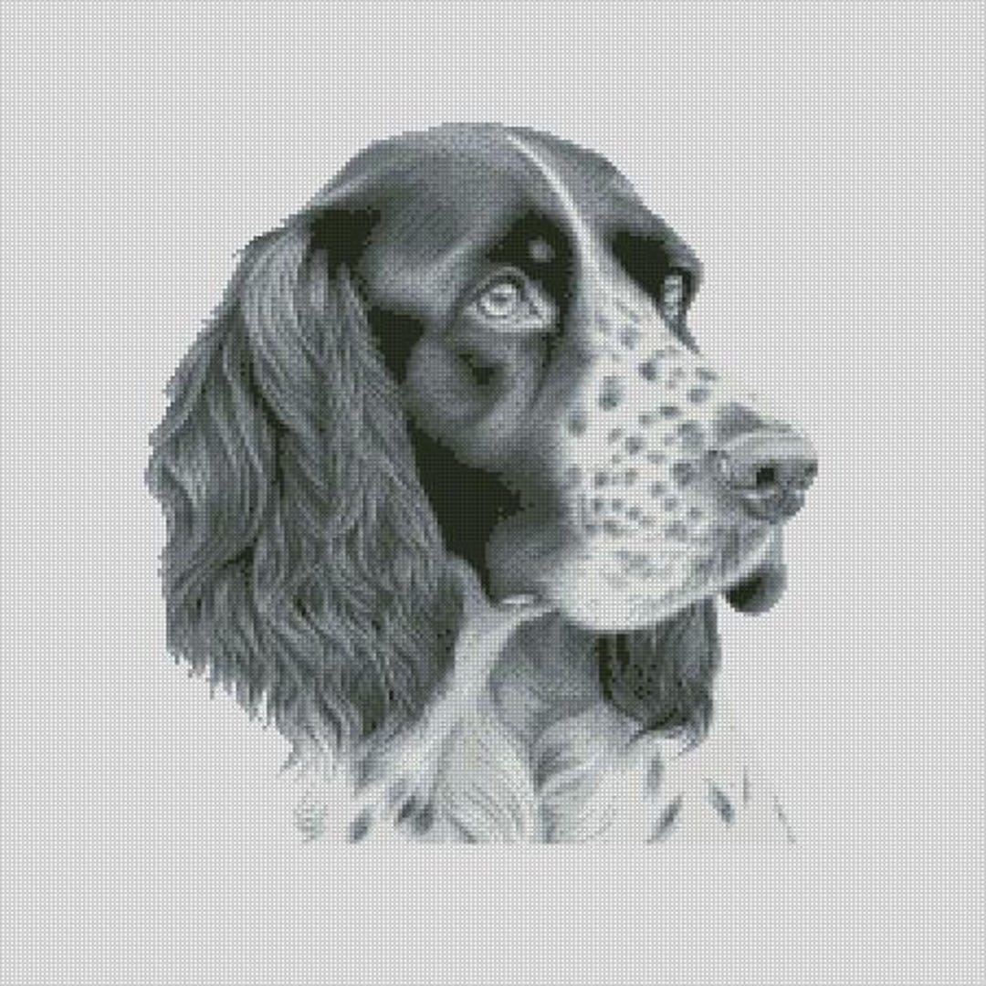 English Springer Spaniel Dog 2 Cross Stitch Chart Instant Download PDF ...