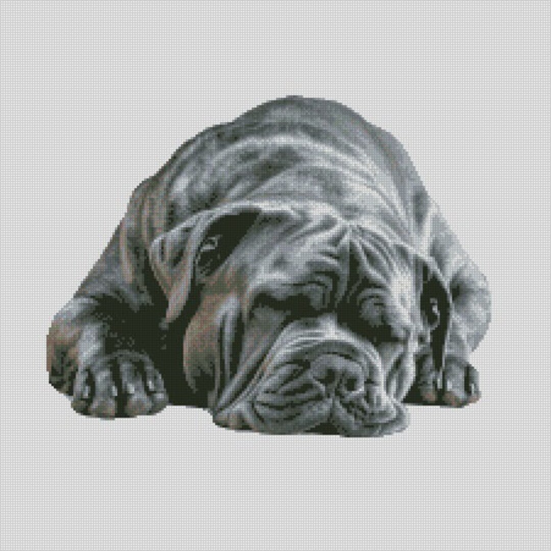 Cane Corso Dog 4 Counted Cross Stitch Chart or Complete Kit - Etsy