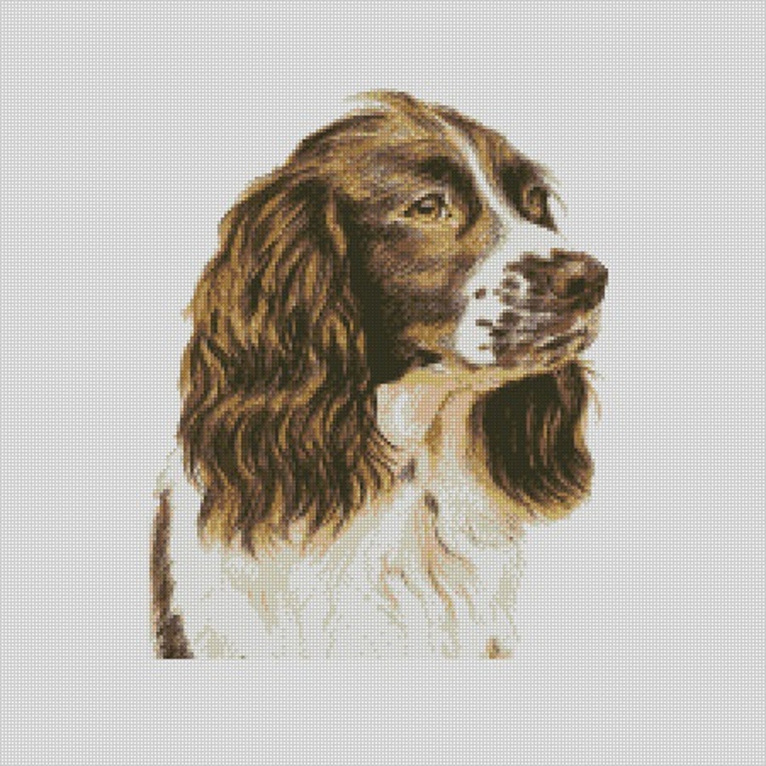 English Springer Spaniel Dog Cross Stitch Chart Instant Download PDF ...