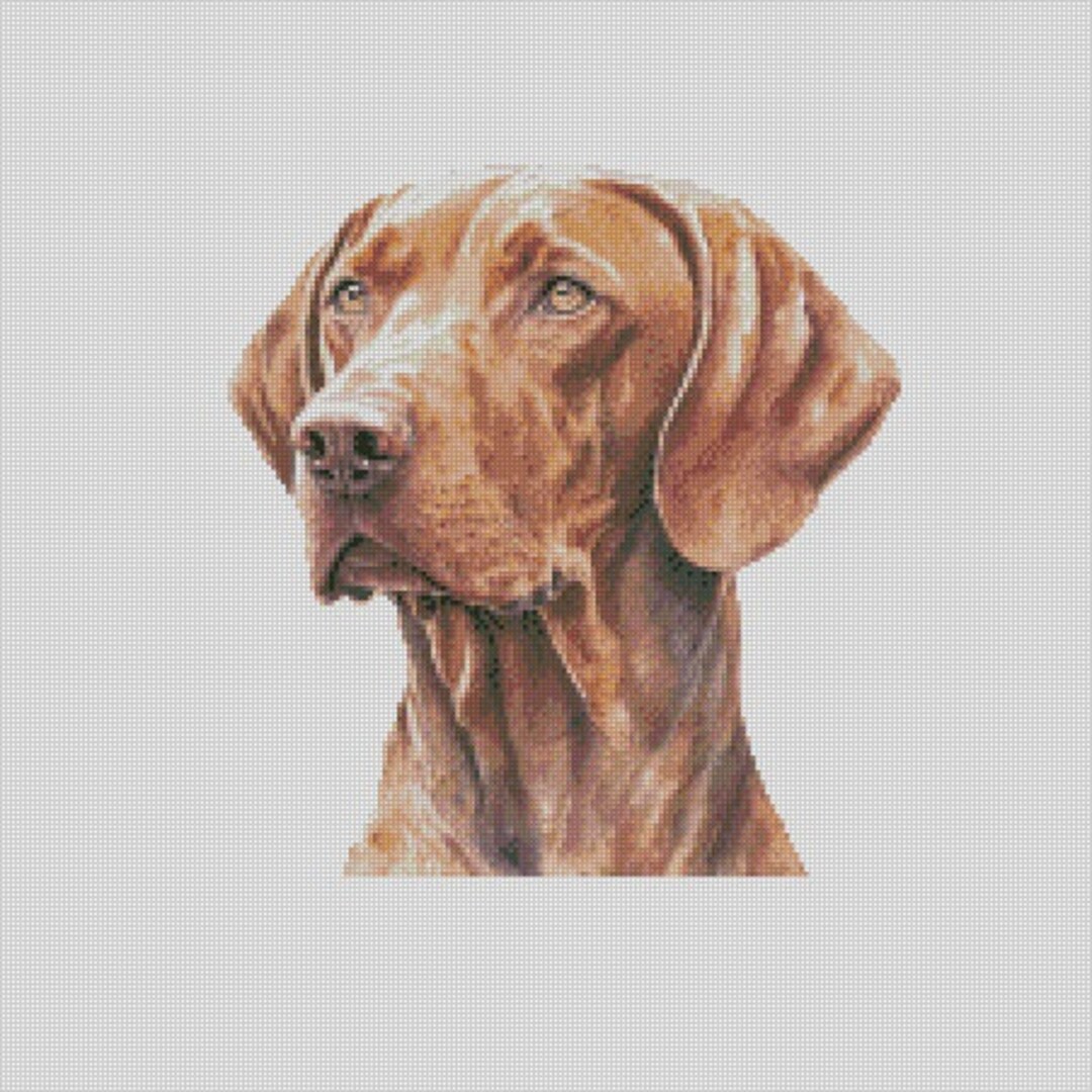 Vizsla Dog 1 Cross Stitch Chart Instant Download PDF Pattern Keeper ...