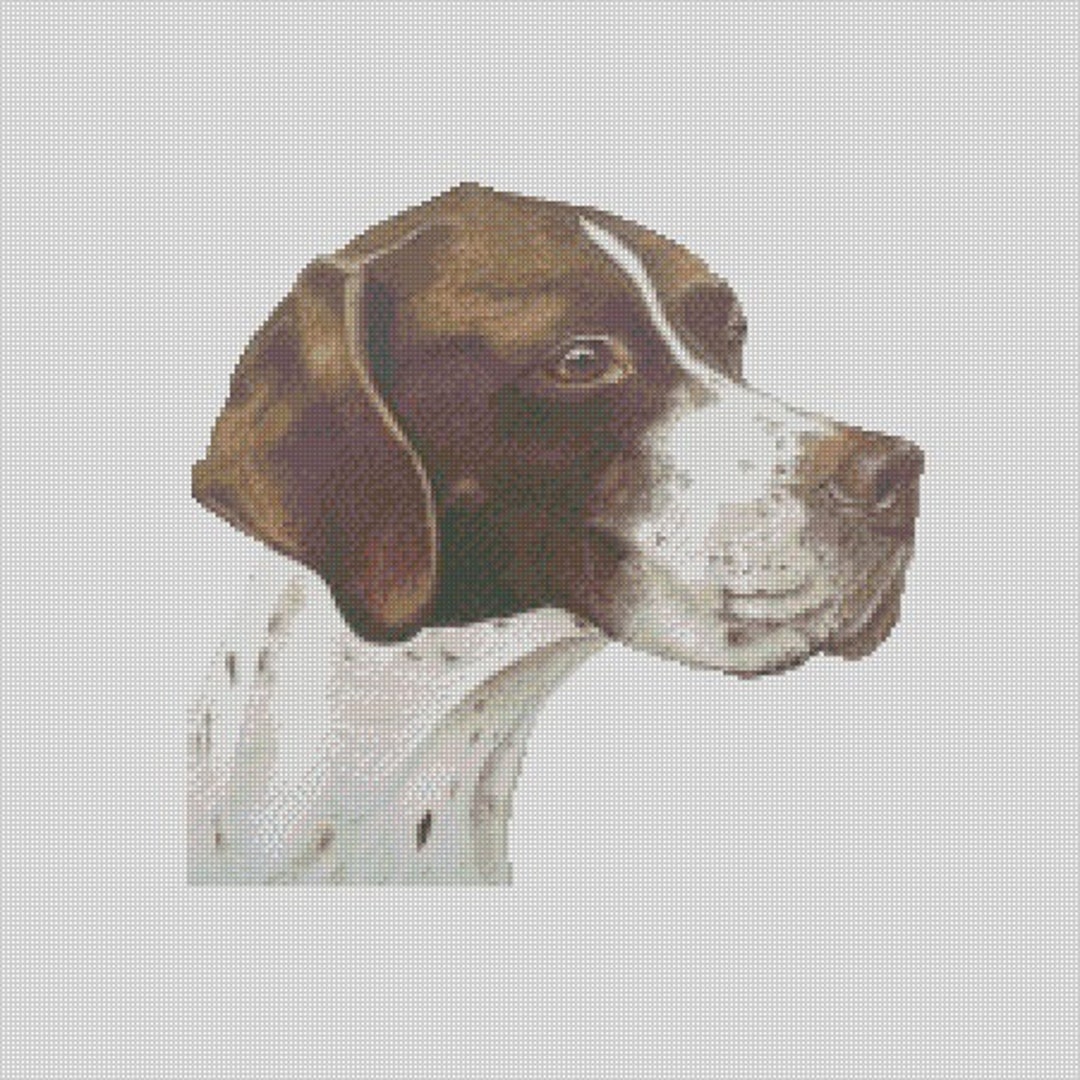 Pointer Dog Counted Cross Stitch Chart or Complete Kit - Etsy