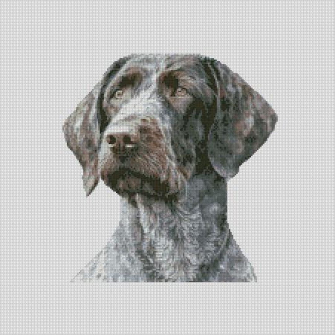 German Wirehaired Pointer Dog 1 Cross Stitch Chart Instant Download PDF ...