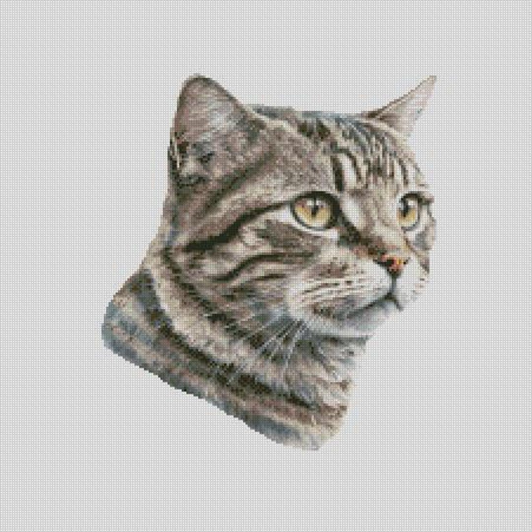 Tabby Cat 3 Cross Stitch Chart Instant Download PDF Pattern Keeper ...