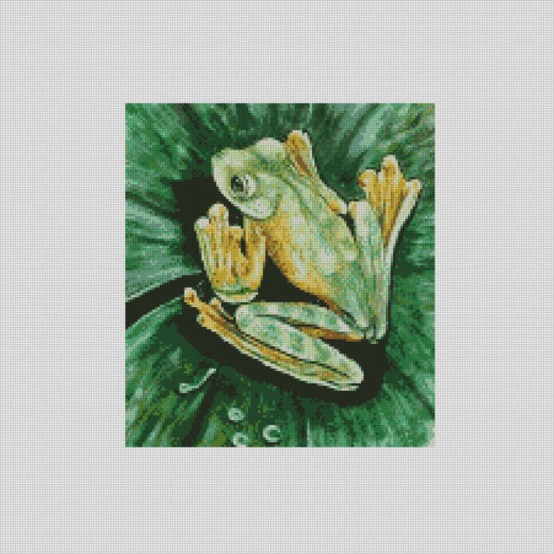 Frog Counted Cross Stitch Chart or Complete Kit - Etsy UK