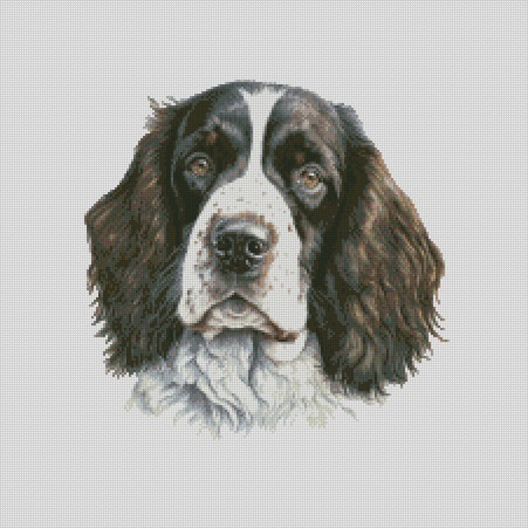 English Springer Spaniel Dog 1 Cross Stitch Chart Instant Download PDF ...