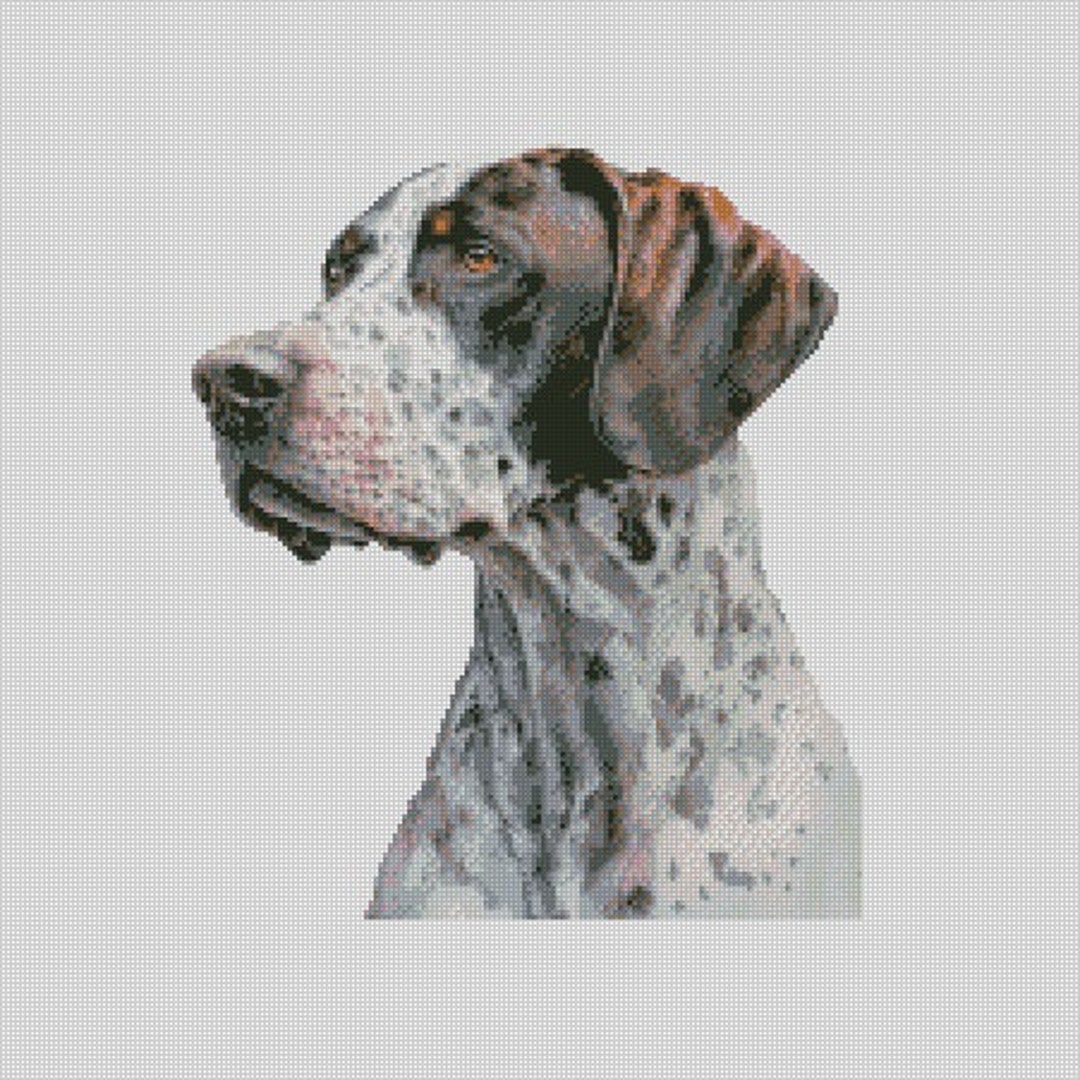 English Pointer Dog 8 Cross Stitch Chart Instant Download PDF Pattern ...