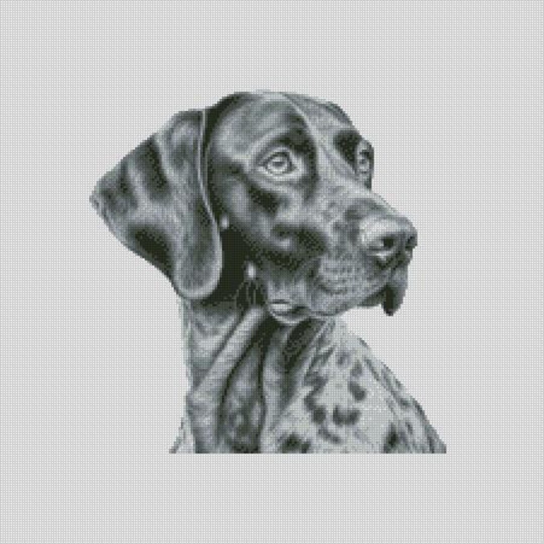 German Shorthaired Pointer Dog 3 Cross Stitch Chart Instant Download ...
