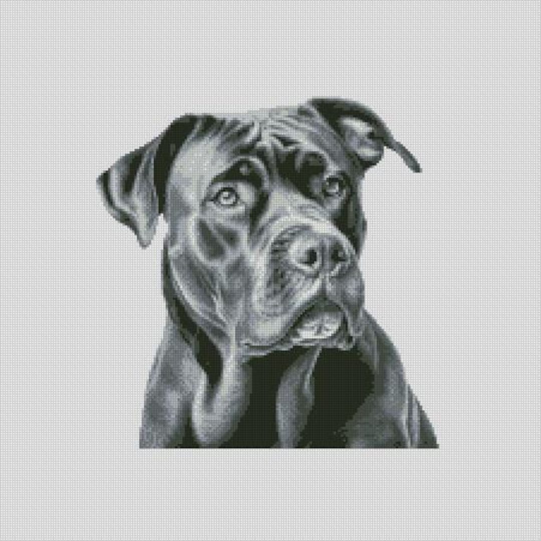 Cane Corso Dog 1 Cross Stitch Chart Instant Download PDF Pattern Keeper ...