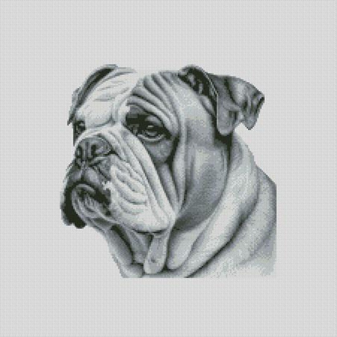 English Bulldog 1 Cross Stitch Chart Instant Download PDF Pattern ...