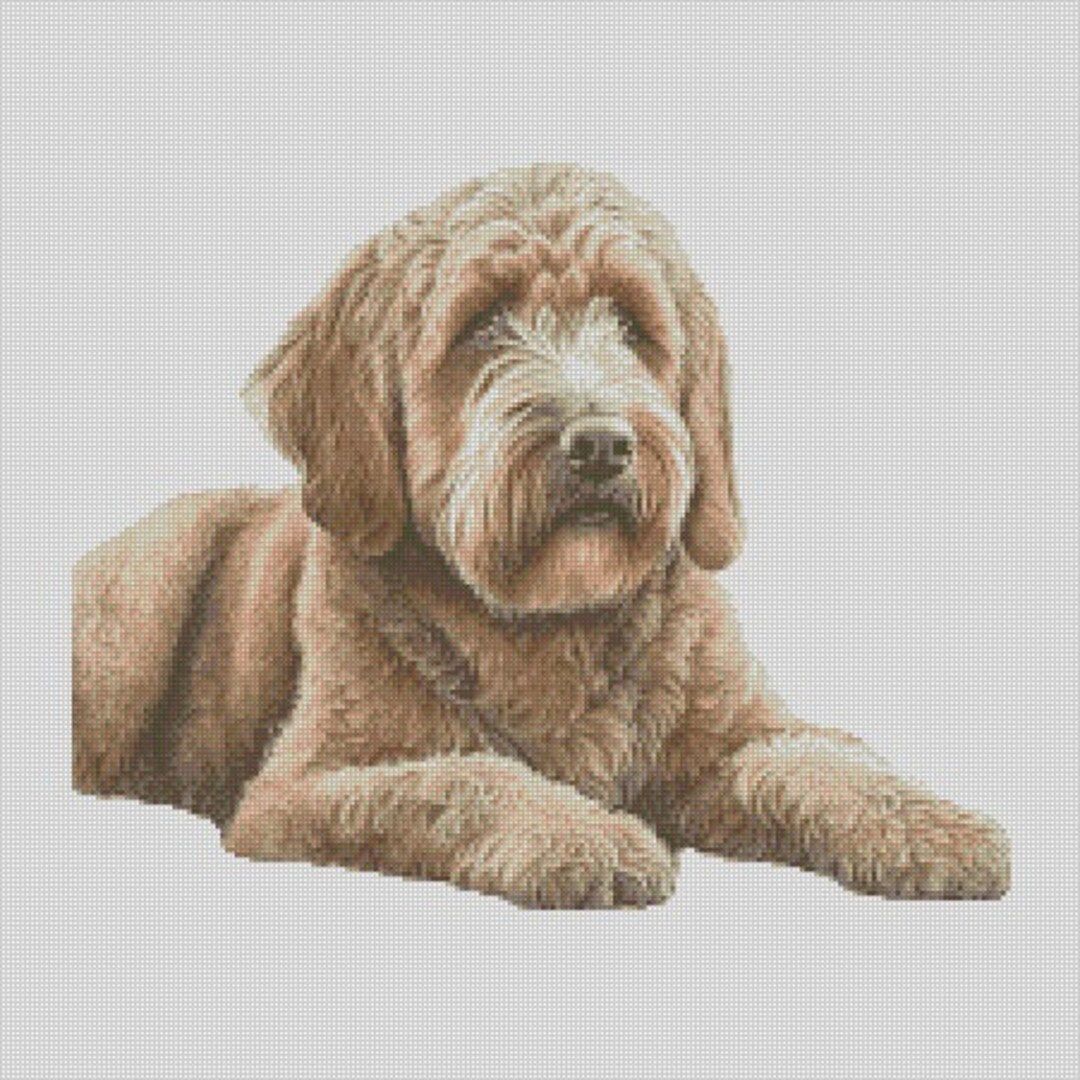 Labradoodle Dog 3 Counted Cross Stitch Chart or Complete Kit - Etsy