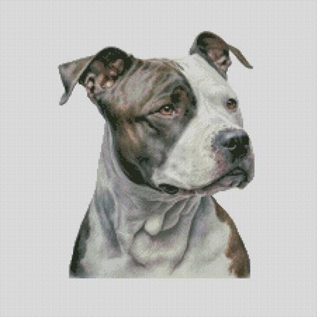 American Staffordshire Bull Terrier Dog 1 Cross Stitch Chart Instant ...