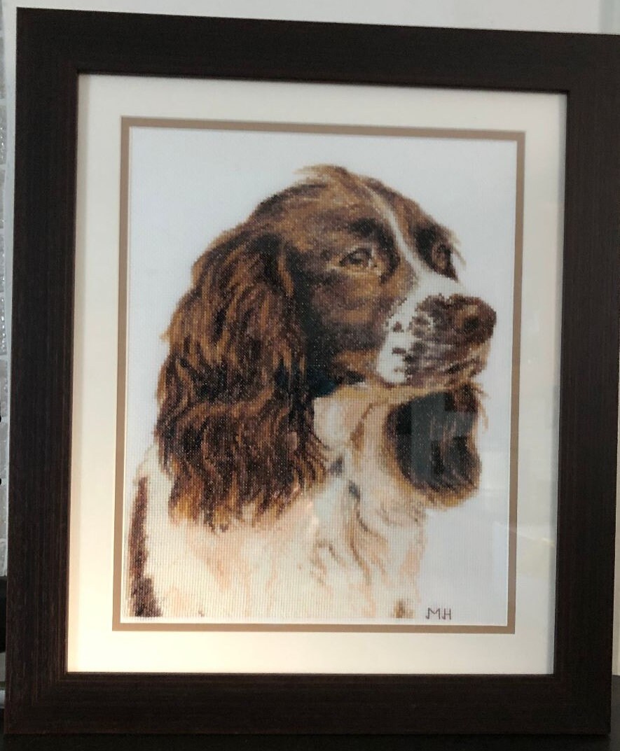 Cross Stitch Chart or Complete Kit English Springer Spaniel Dog - Etsy