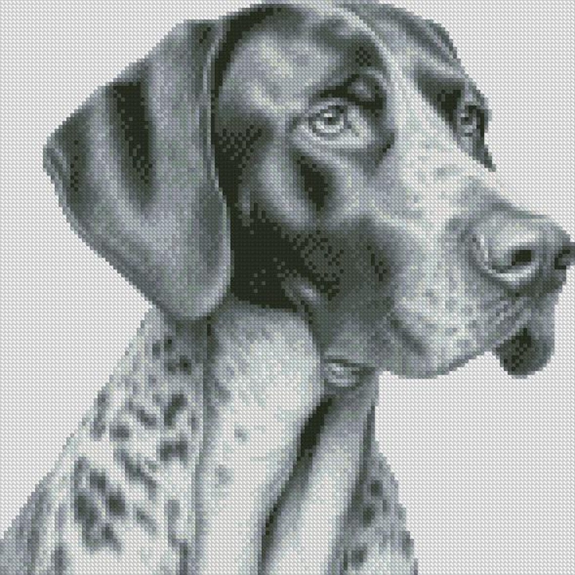 German Shorthaired Pointer Dog 5 Counted Cross Stitch Chart or Complete ...