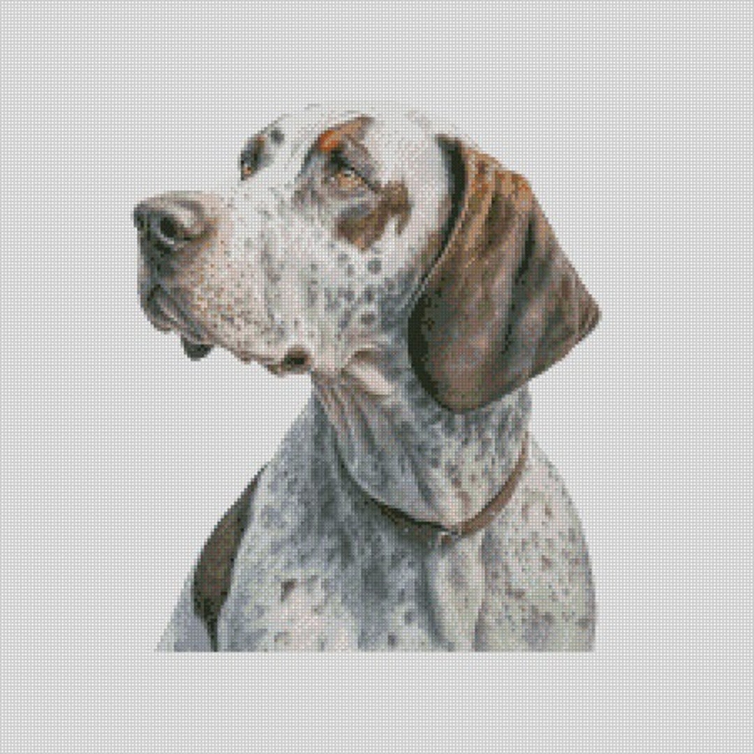 Instant Download PDF Cross Stitch Chart Pattern English Pointer Dog 5 ...