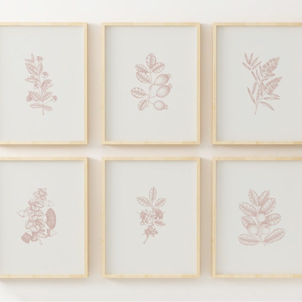 Blush Wall Art - Etsy