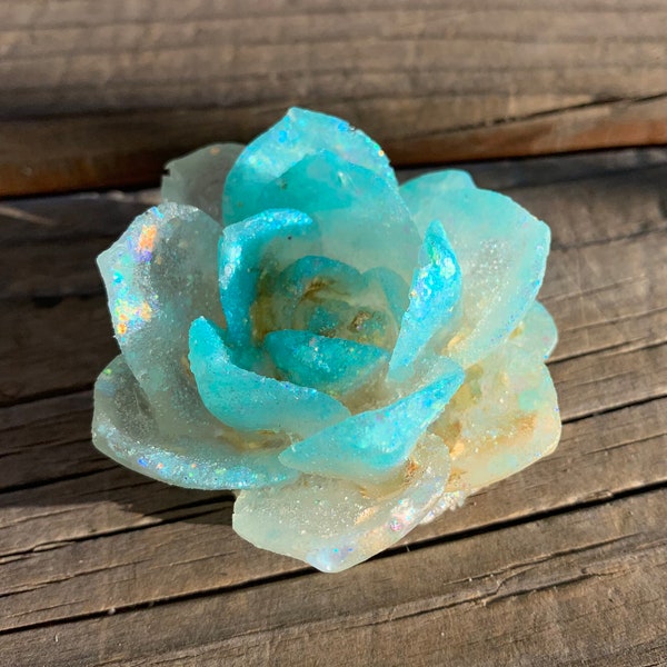 Mountain Rose Succulent - Etsy