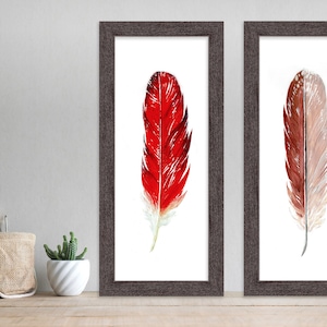 Male and Female Cardinal Feather Watercolor Set. West Virginia State ...