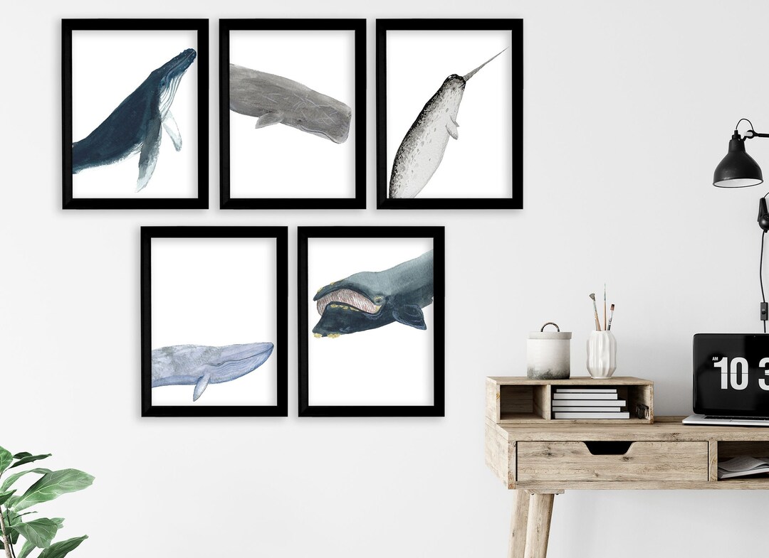 Whales Gallery Wall Elementary and Middle School Scientific Classroom ...