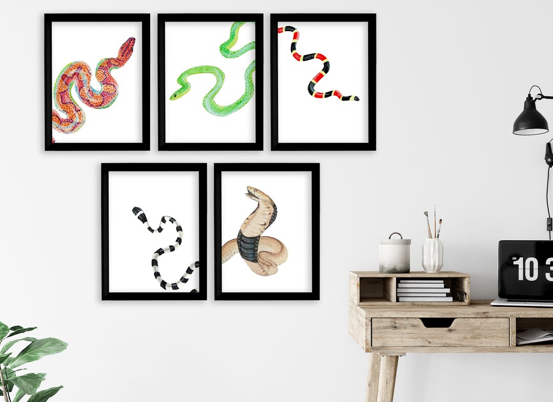 Snakes Gallery Wall Elementary and Middle School Scientific Classroom ...