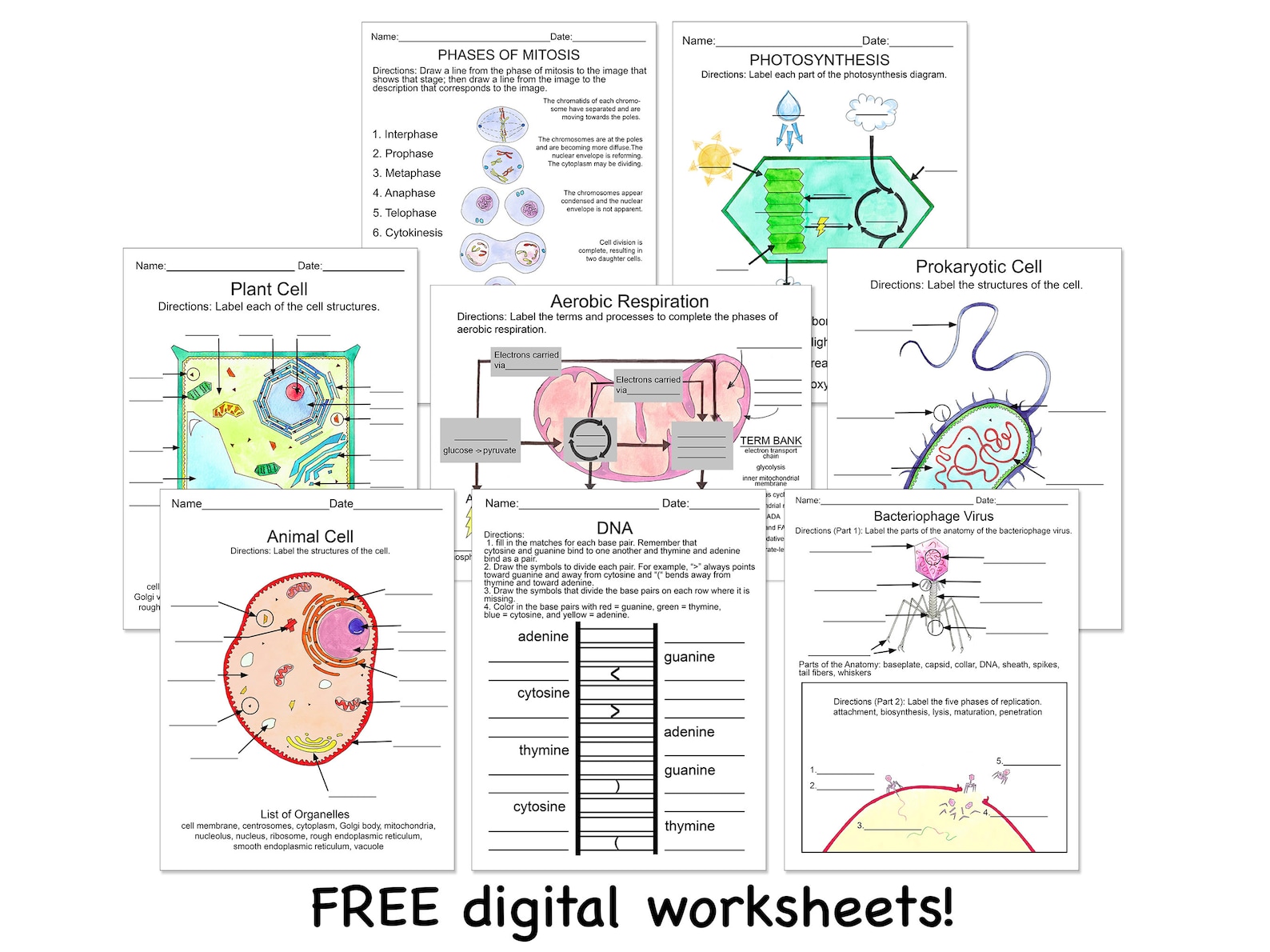 Cellular Structure and Functions Classroom Poster Set. Fine Art Paper ...