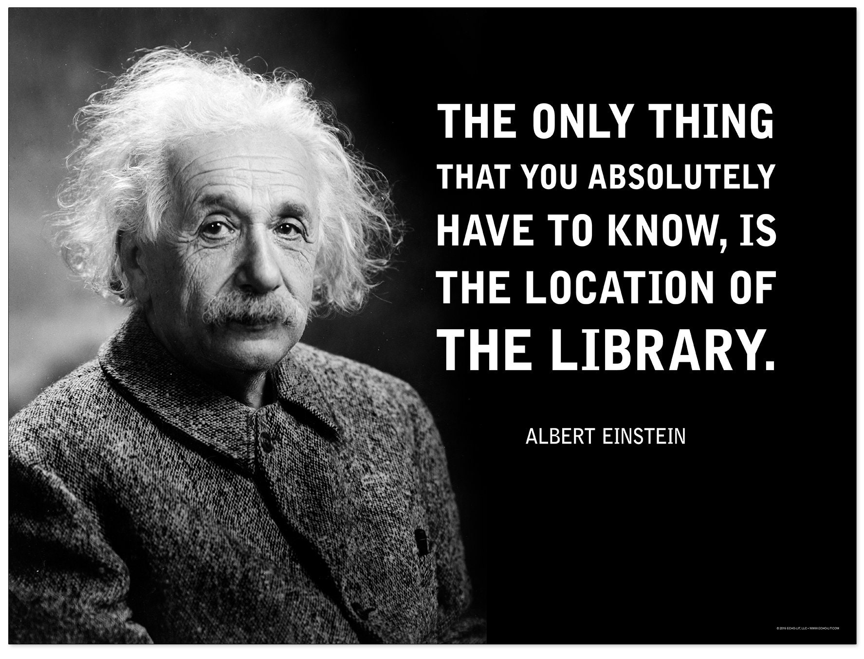 Location of the Library Albert Einstein Quote Fine Art Print. Multiple ...