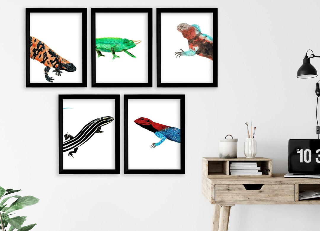 Lizards Gallery Wall Elementary and Middle School Scientific Classroom ...