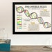 Cellular Structure and Functions Classroom Poster Set. Fine Art Paper ...