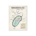 Prokaryotic Cell Cellular Structure Classroom Poster. Fine Art Paper ...