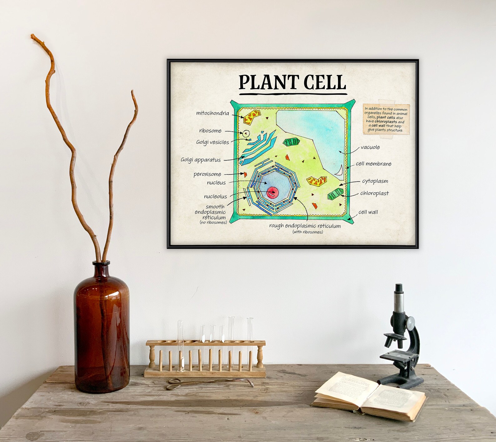 Plant Cell Cellular Structure Classroom Poster. Fine Art - Etsy Ireland