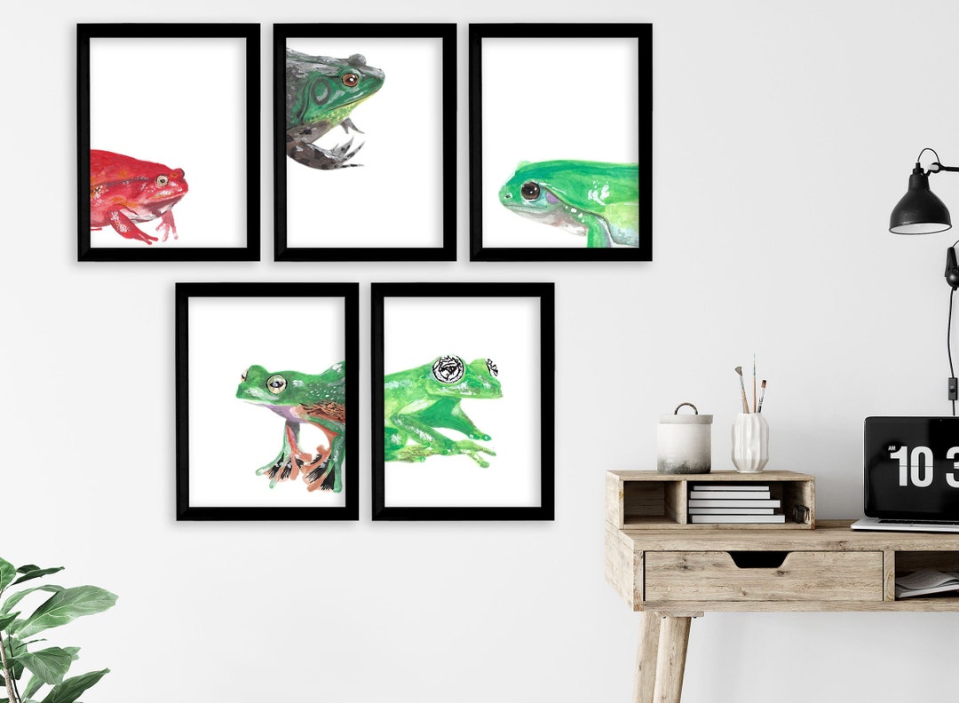Frogs Gallery Wall Elementary and Middle School Scientific Classroom ...