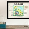 Stem Cell 2, Science Art Print, Biology Wall Decor Poster, 5 X 7 In, 8 ...