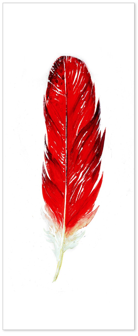 Cardinal Feather Drawing