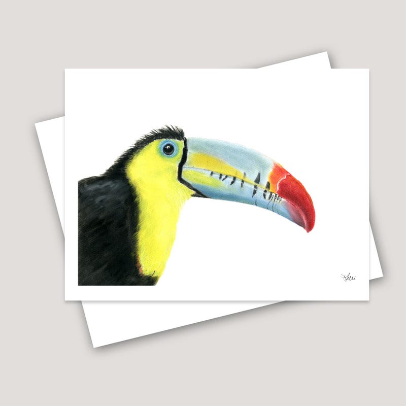 Keel Billed Toucan - Etsy