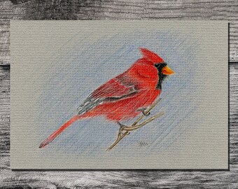 Cardinal Pencil Drawing - Etsy