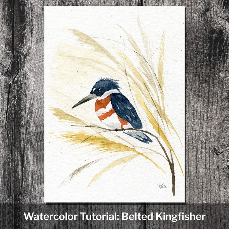 Watercolor Bird Belted Kingfisher Painting Tutorial - Digital Download ...
