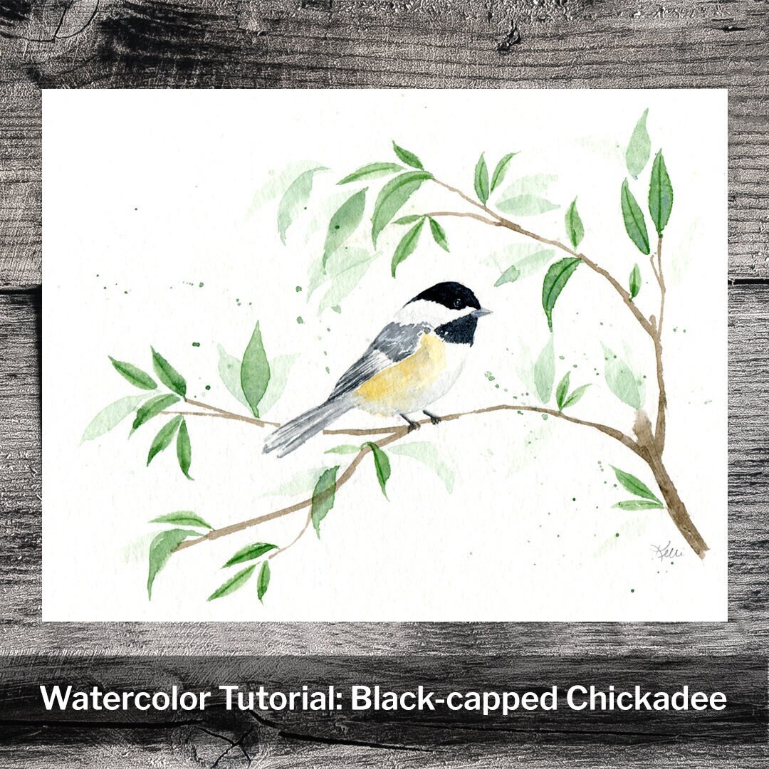 Black-capped Chickadee Watercolor Bird Painting Tutorial Digital Download Ebook Learn to Paint ...