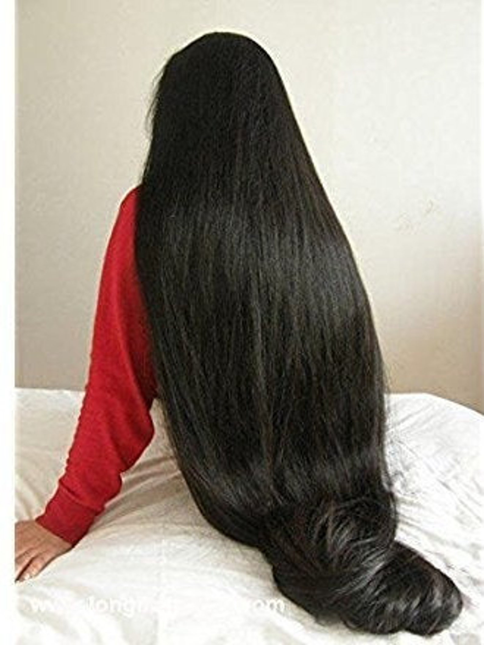 Buy Al-shaafi Organic Herbal Hair Shampoo for Thick, Lustrous ...