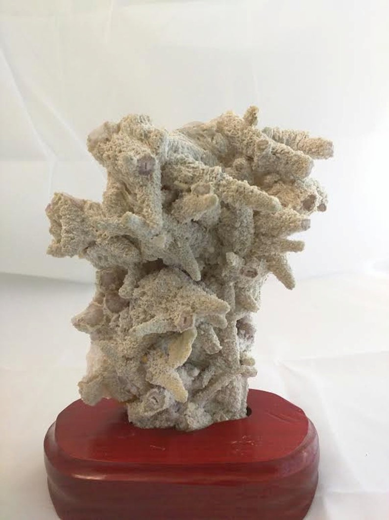 Rare Amethyst Solar Quartz Calcite Covered Stalactic Mineral - Etsy