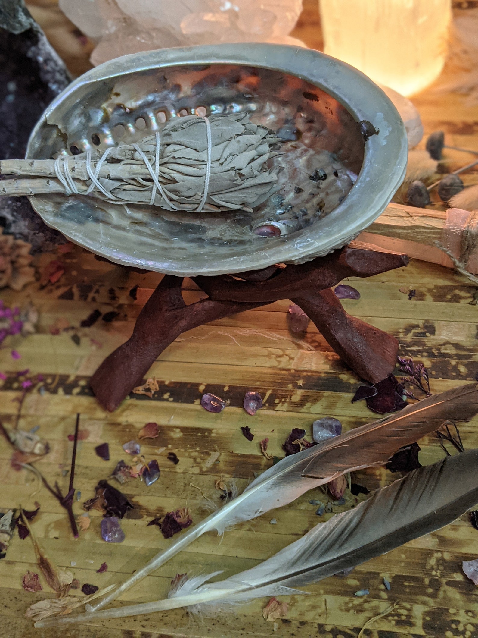 Large Abalone Shell for Sage Clearing Ritual Smudge Bowl Altar - Etsy