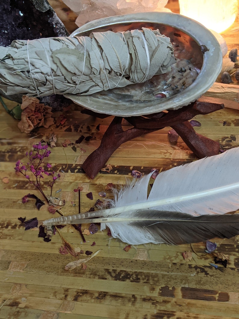 Large Abalone Shell for Sage Clearing Ritual Smudge Bowl Altar - Etsy