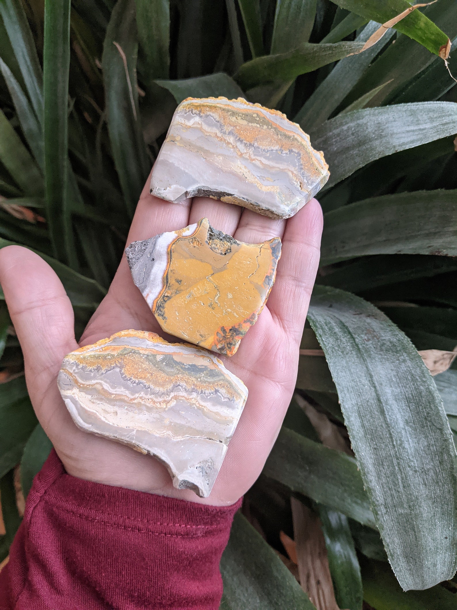 Bumble Bee Jasper Slabs Natural Polished Bumblebee Eclipse - Etsy