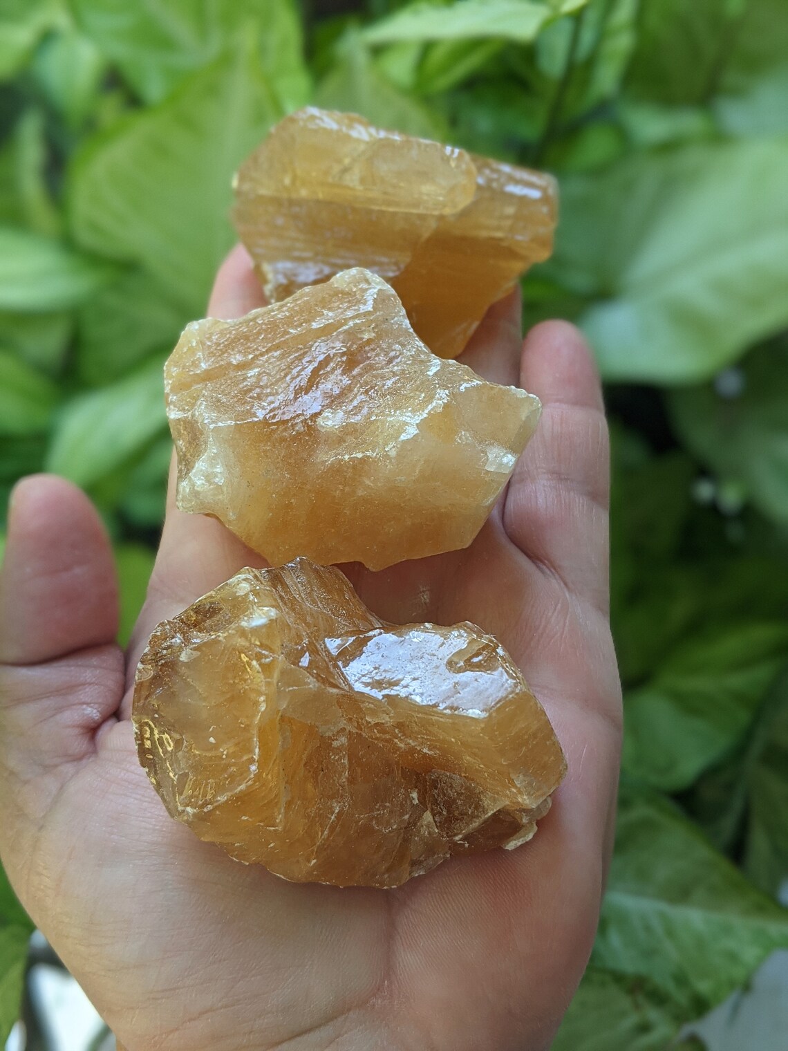 Golden Honey Amber Calcite Large Chunks Raw Yellow Orange Palm - Etsy
