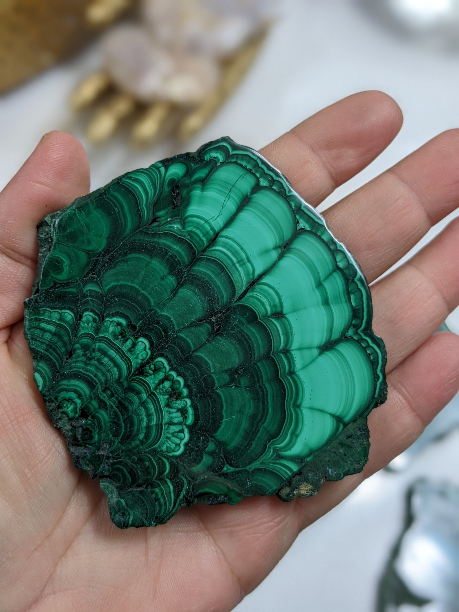 Malachite Slabs Freeform Assorted Polished Botryoidal Plate - Etsy