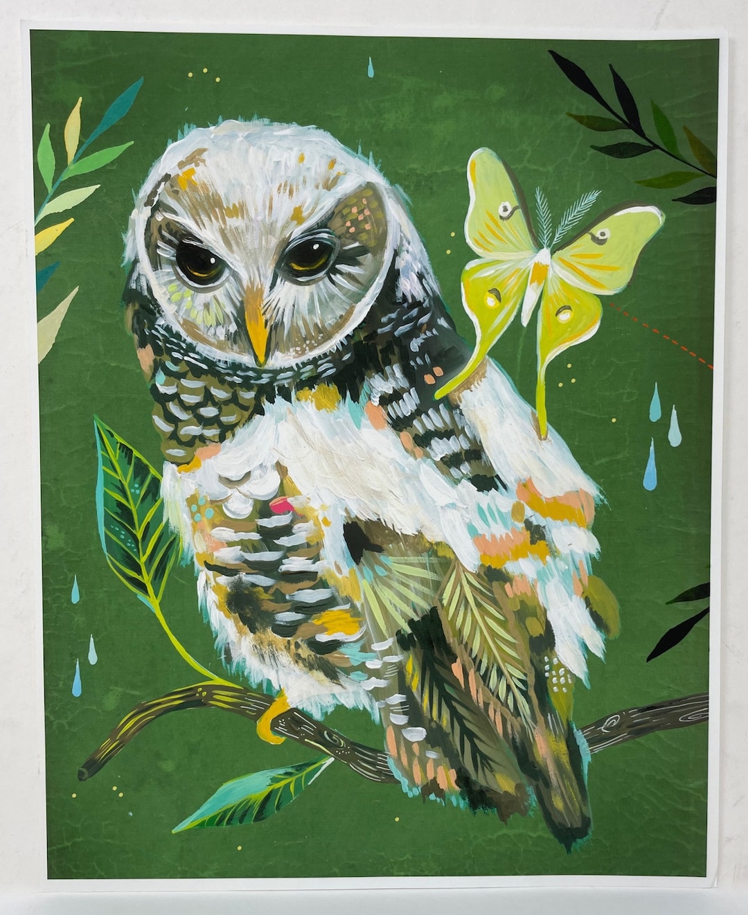 Katie Daisy Art Print, Hazel and Luna, Owl and Butterfly 8" X 10" - Etsy