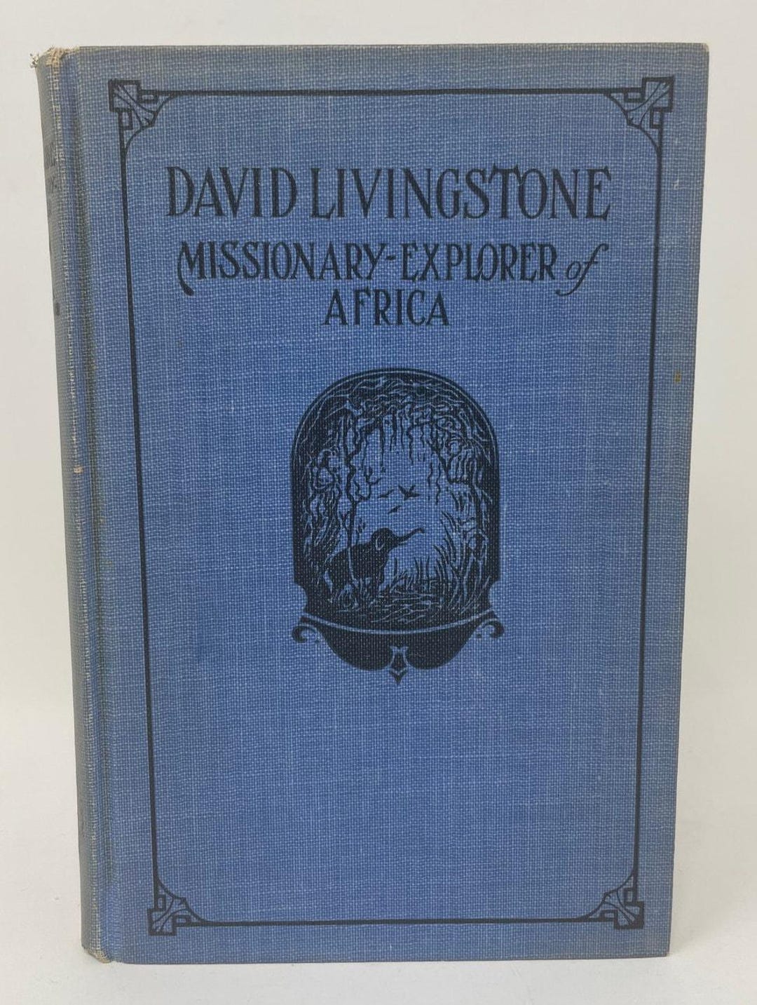 David Livingstone Missionary Explorer of Africa by Jessie Kleeberger ...