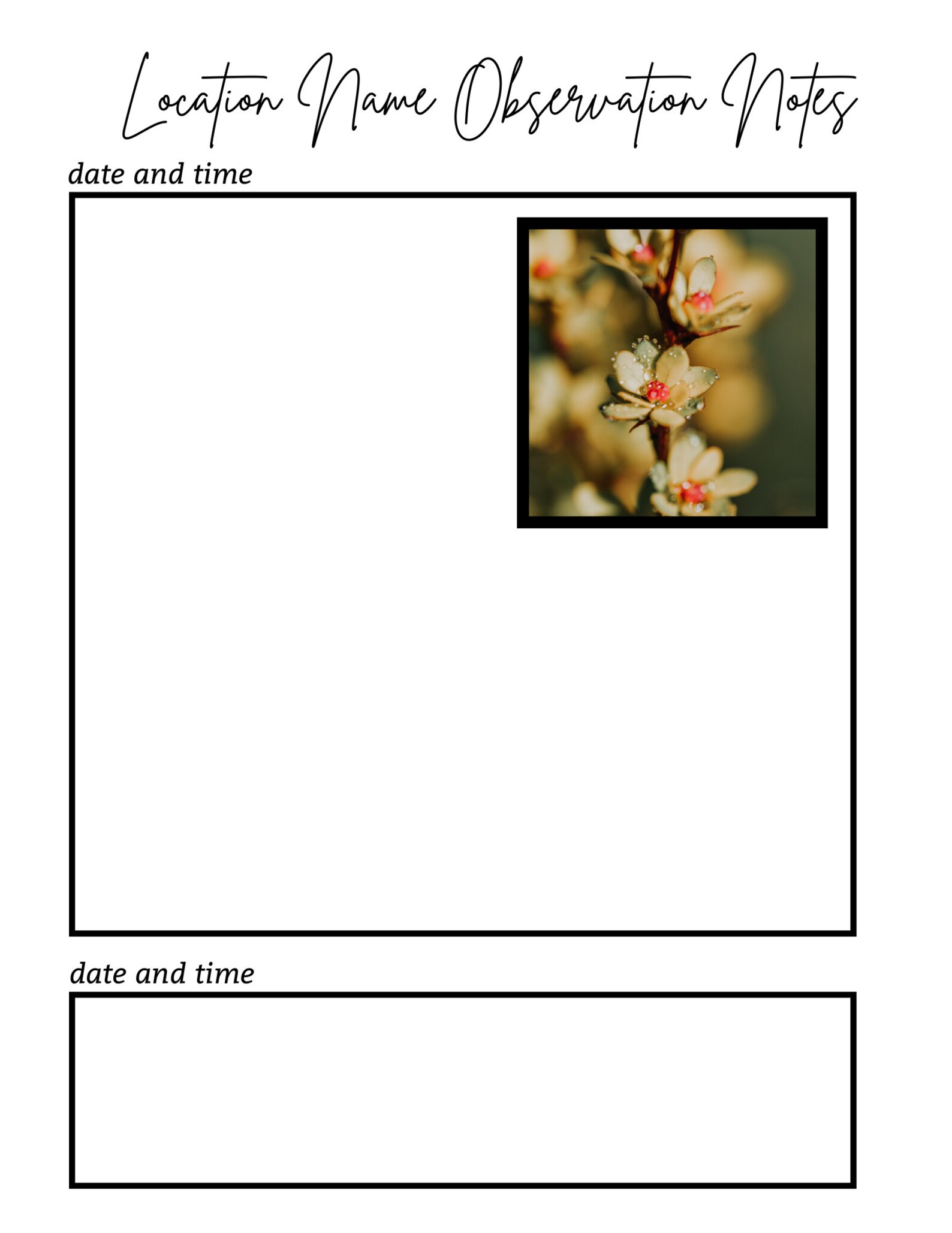 Foraging Herbal Journal Canva Template - Etsy