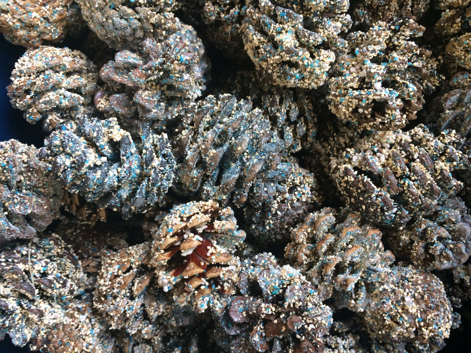 Fox Fire Cones - Etsy