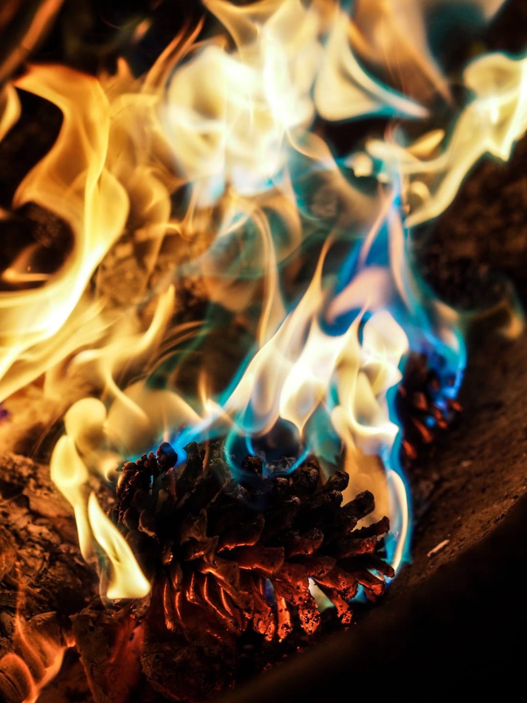 Fox Fire Cones - Etsy